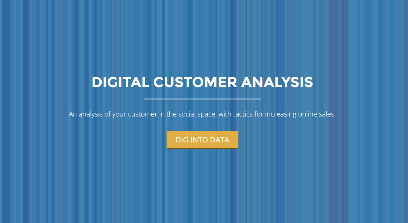 Digital Customer Analysis | Wright Creativity